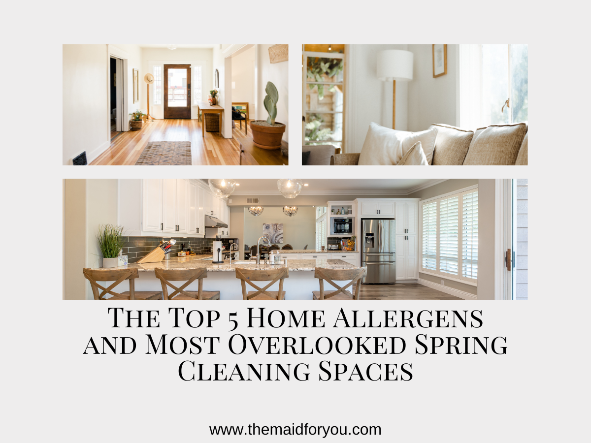 Home Cleaning Services, Maid Service in Central Bucks, Montgomery, 18976