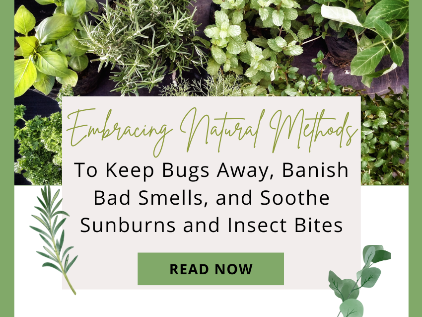 Home Cleaning Services, Maid Service in Central Bucks, Montgomery, 18976